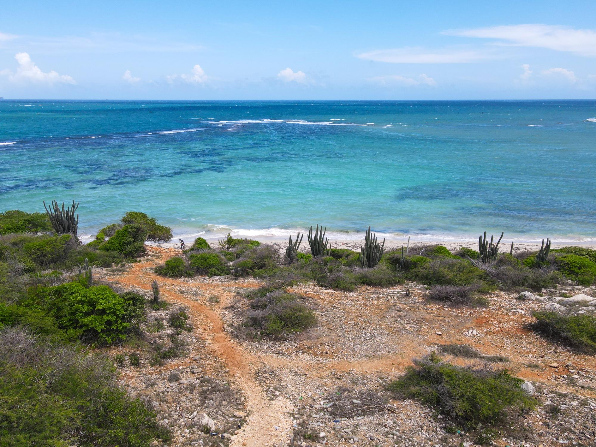 130 St Georges Cliff, Pigeon - Xposure