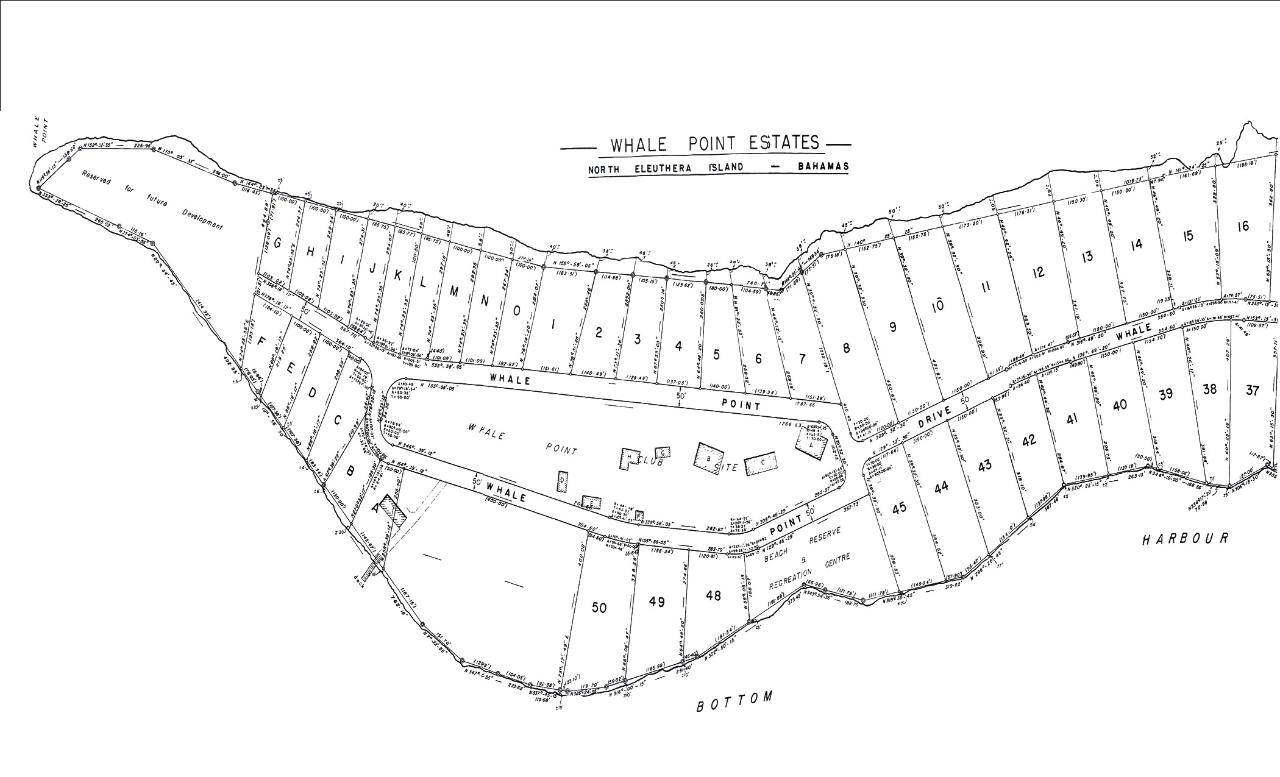 Whale Point Estates - Xposure