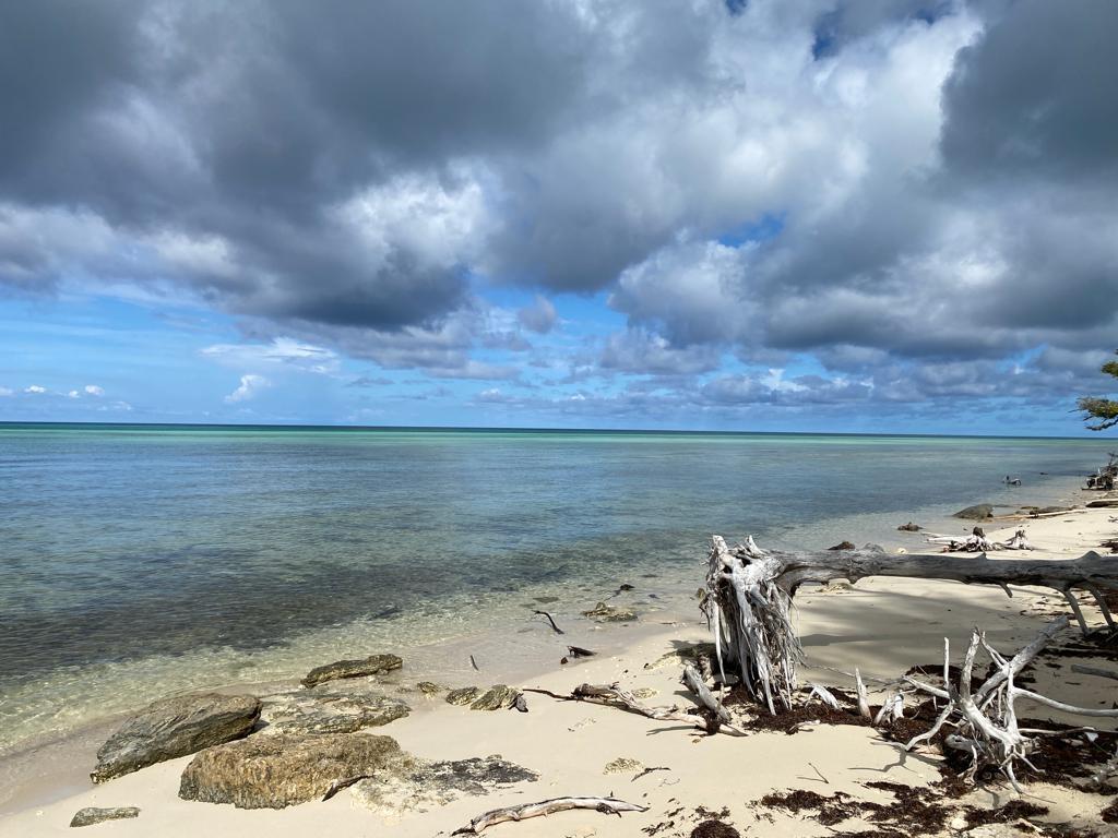 Rocky Point Road - Xposure