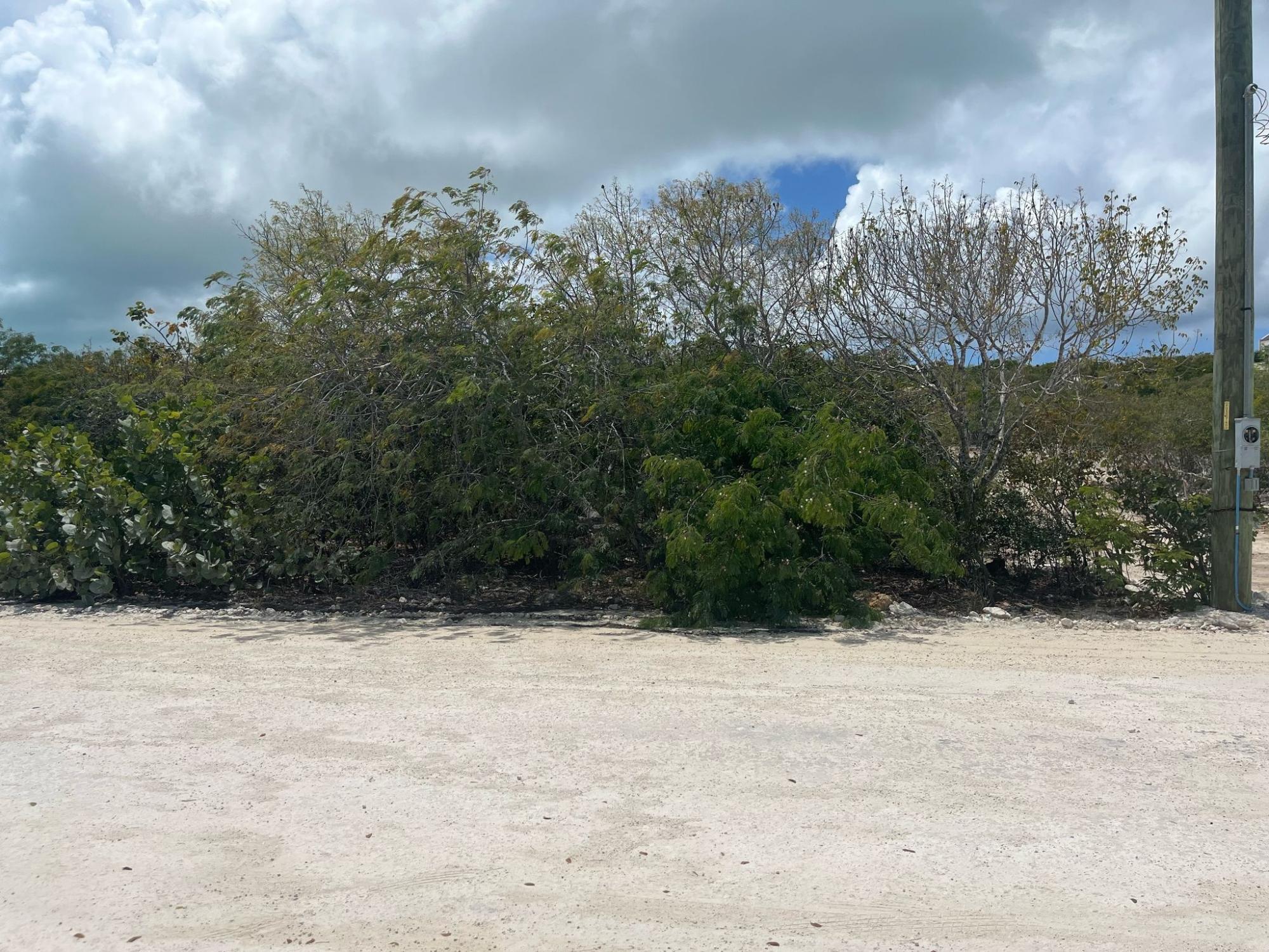 Flamingo Road - Xposure