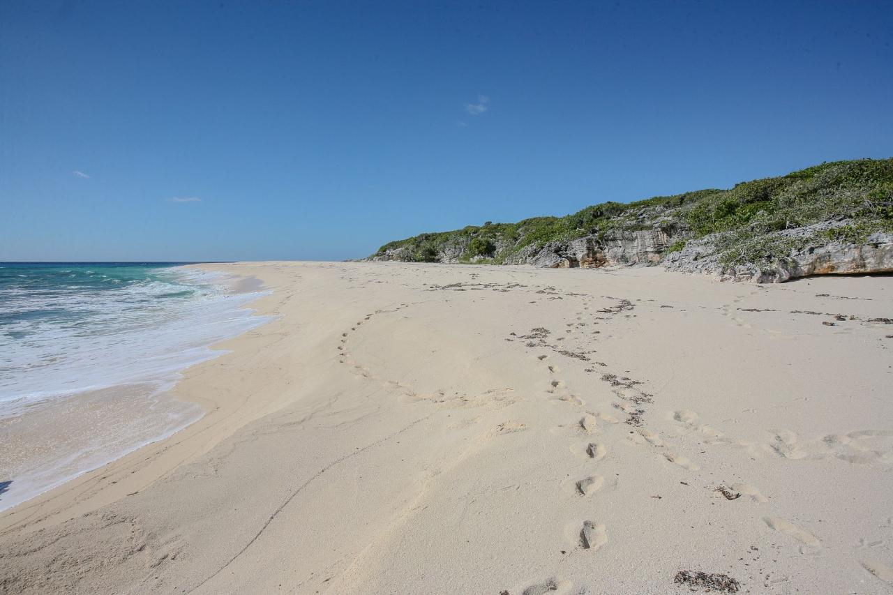 San Salvador - Xposure