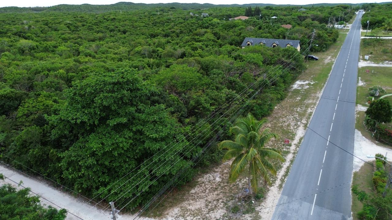 South Palmetto Point Lot - Xposure