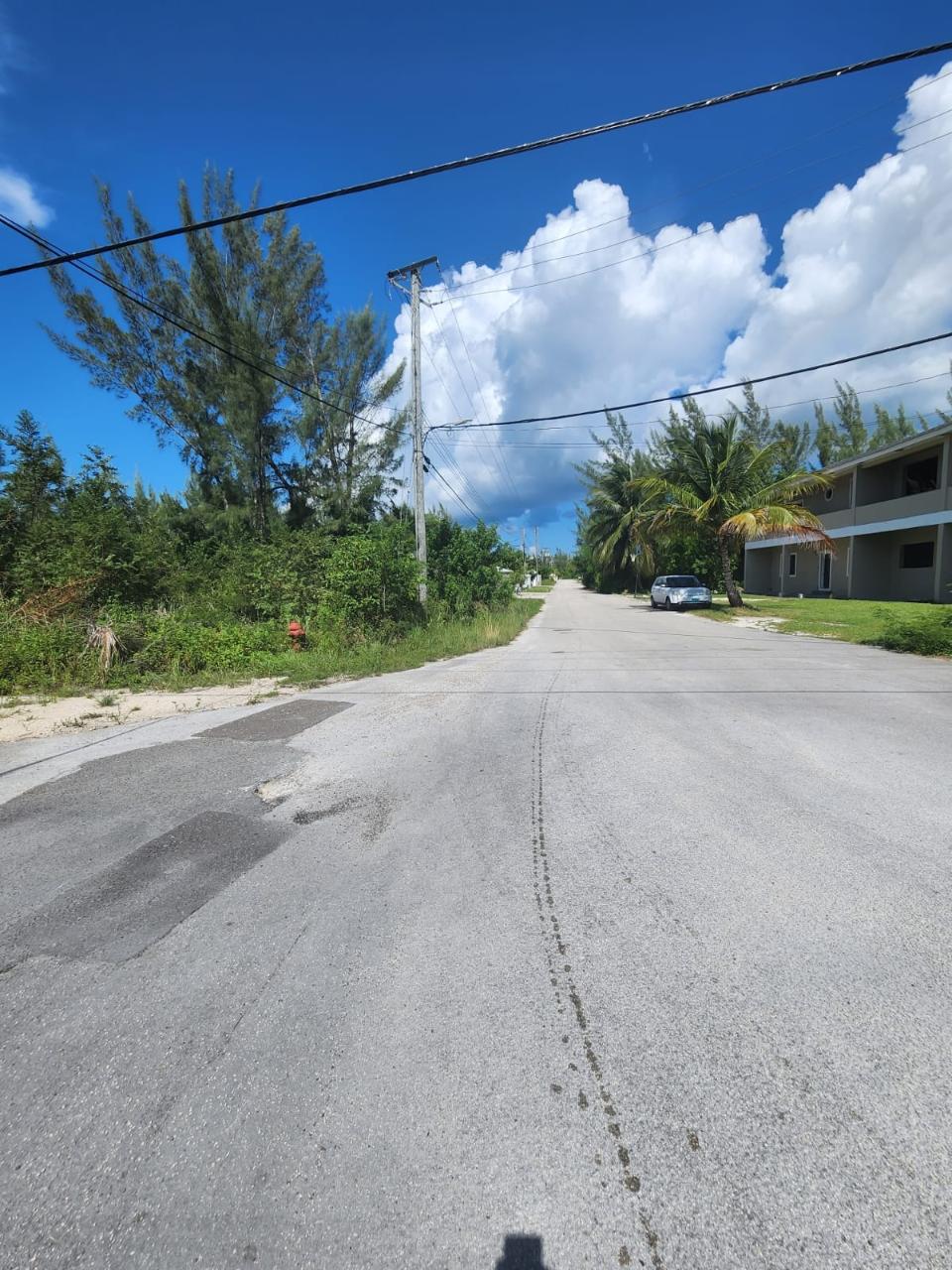 Venice Bay - Xposure