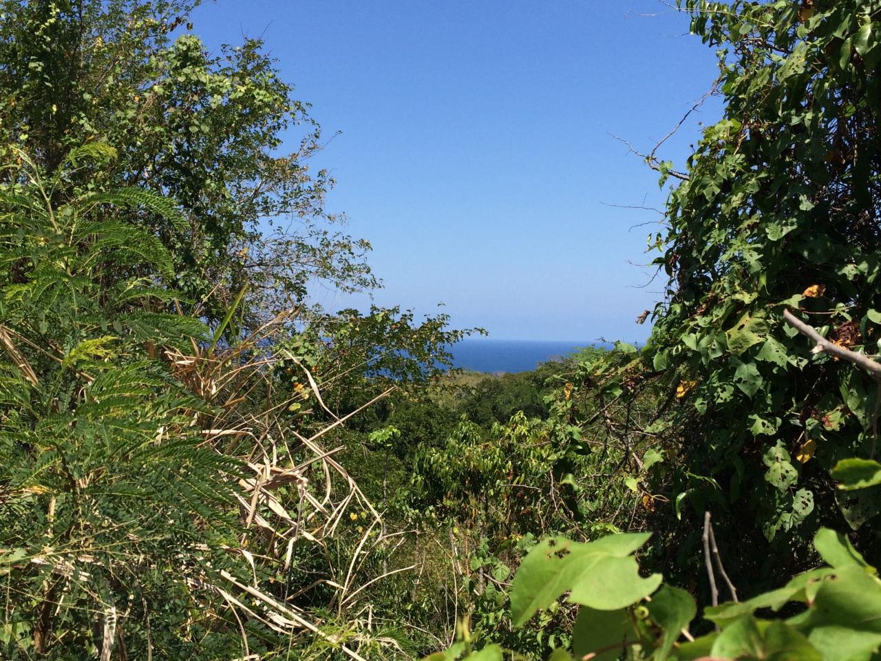 Lot 581 581 Garden Hill - Xposure