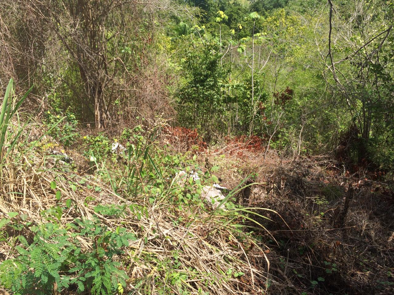 Lot 581 581 Garden Hill - Xposure