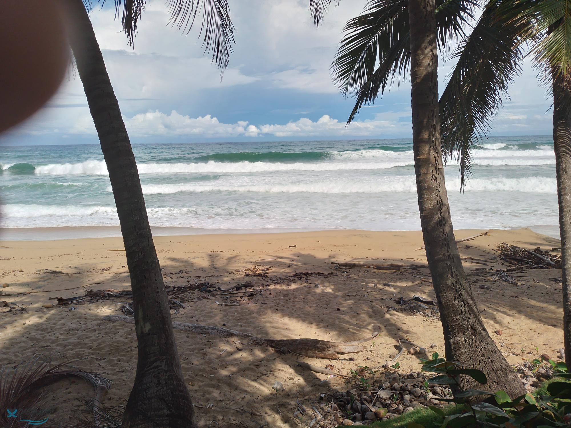 BEAUTIFUL BEACHFRONT LOT IN RINCON PR - Xposure