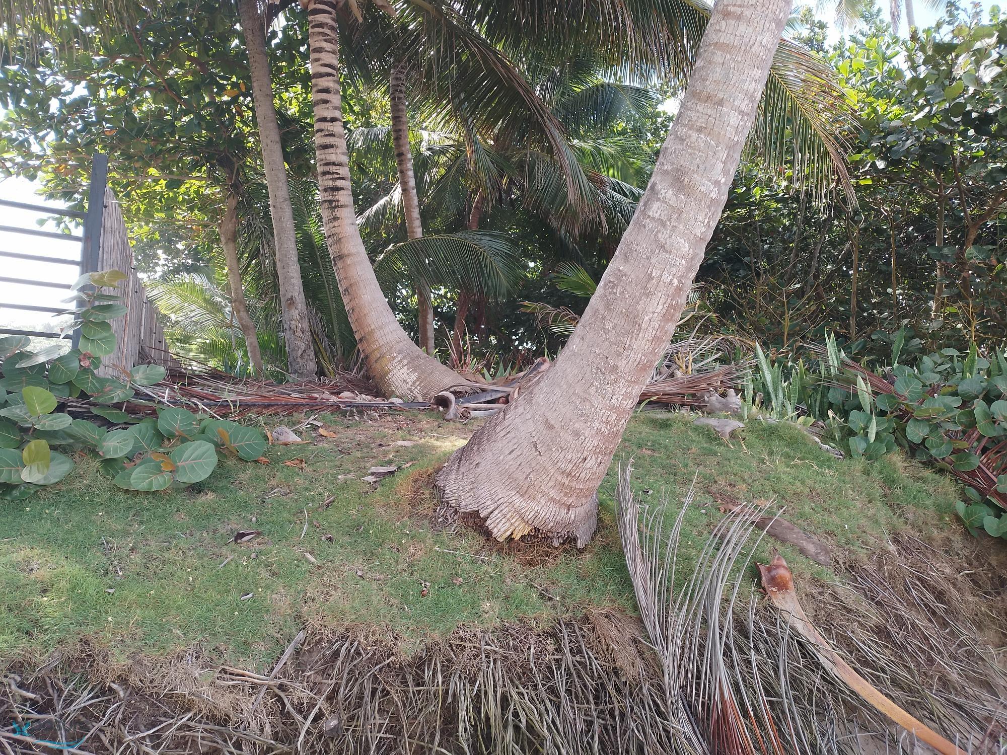 BEAUTIFUL BEACHFRONT LOT IN RINCON PR - Xposure