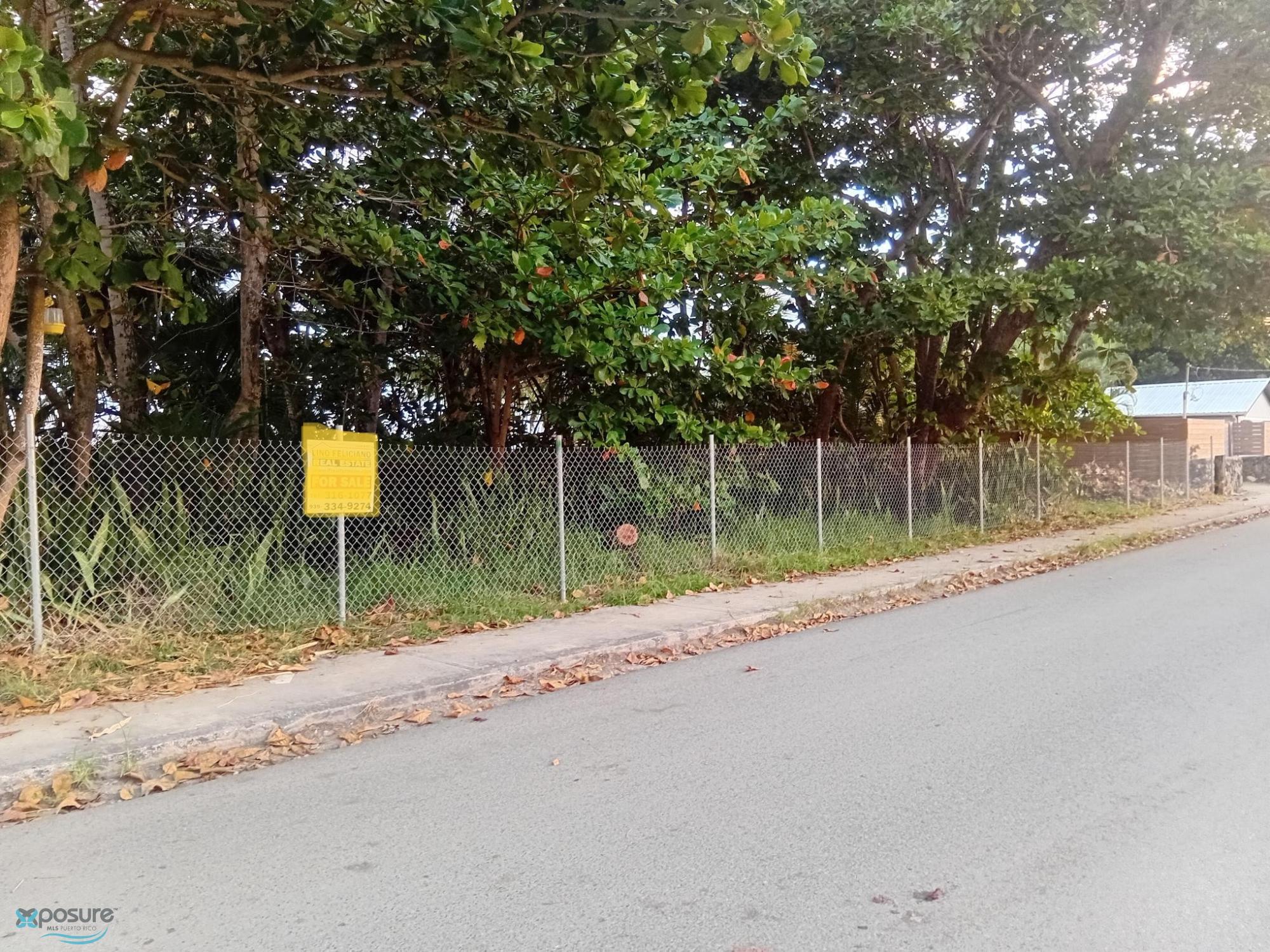 BEAUTIFUL BEACHFRONT LOT IN RINCON PR - Xposure