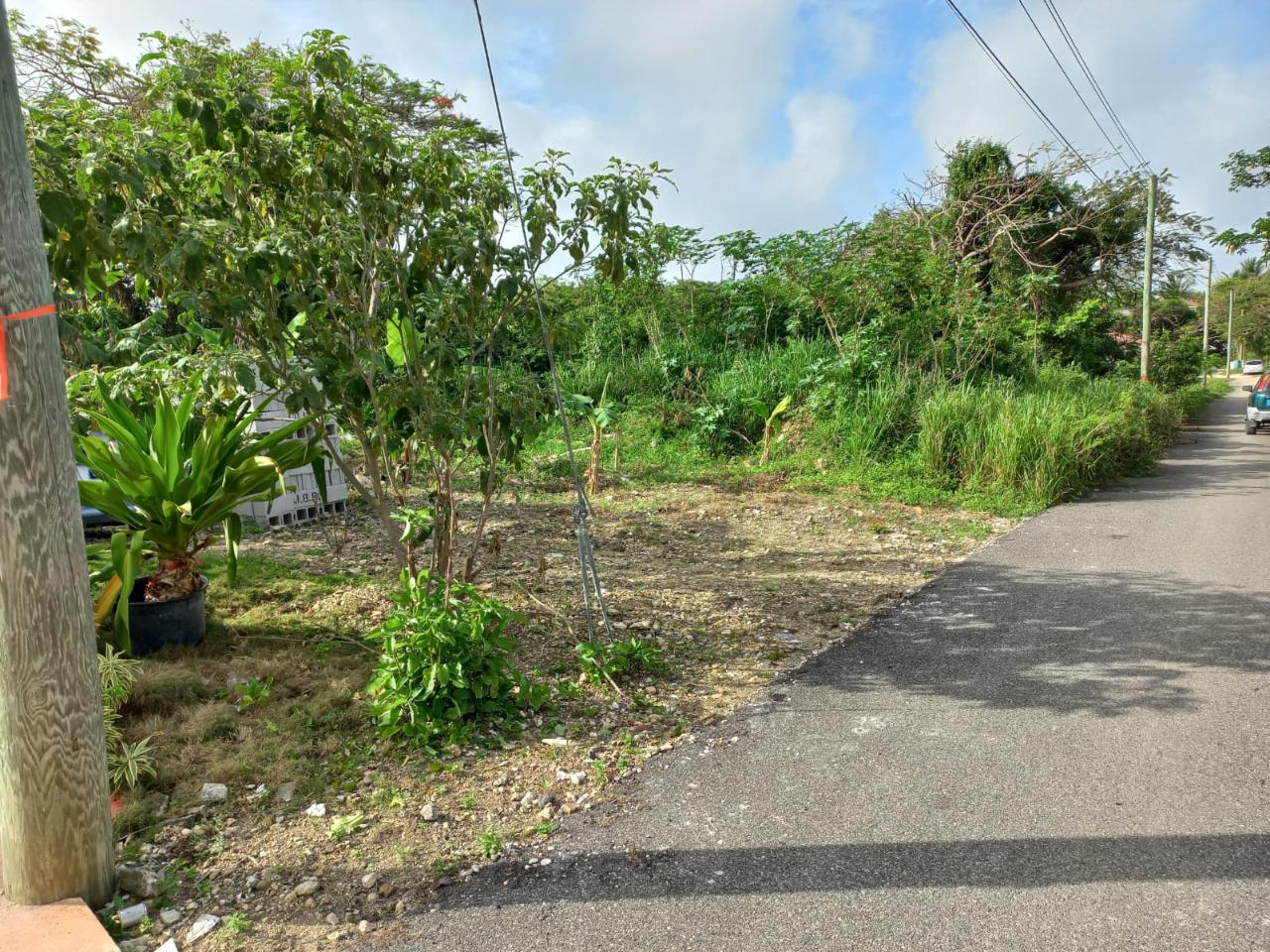 Bernard Terrace Lot #22 - Xposure