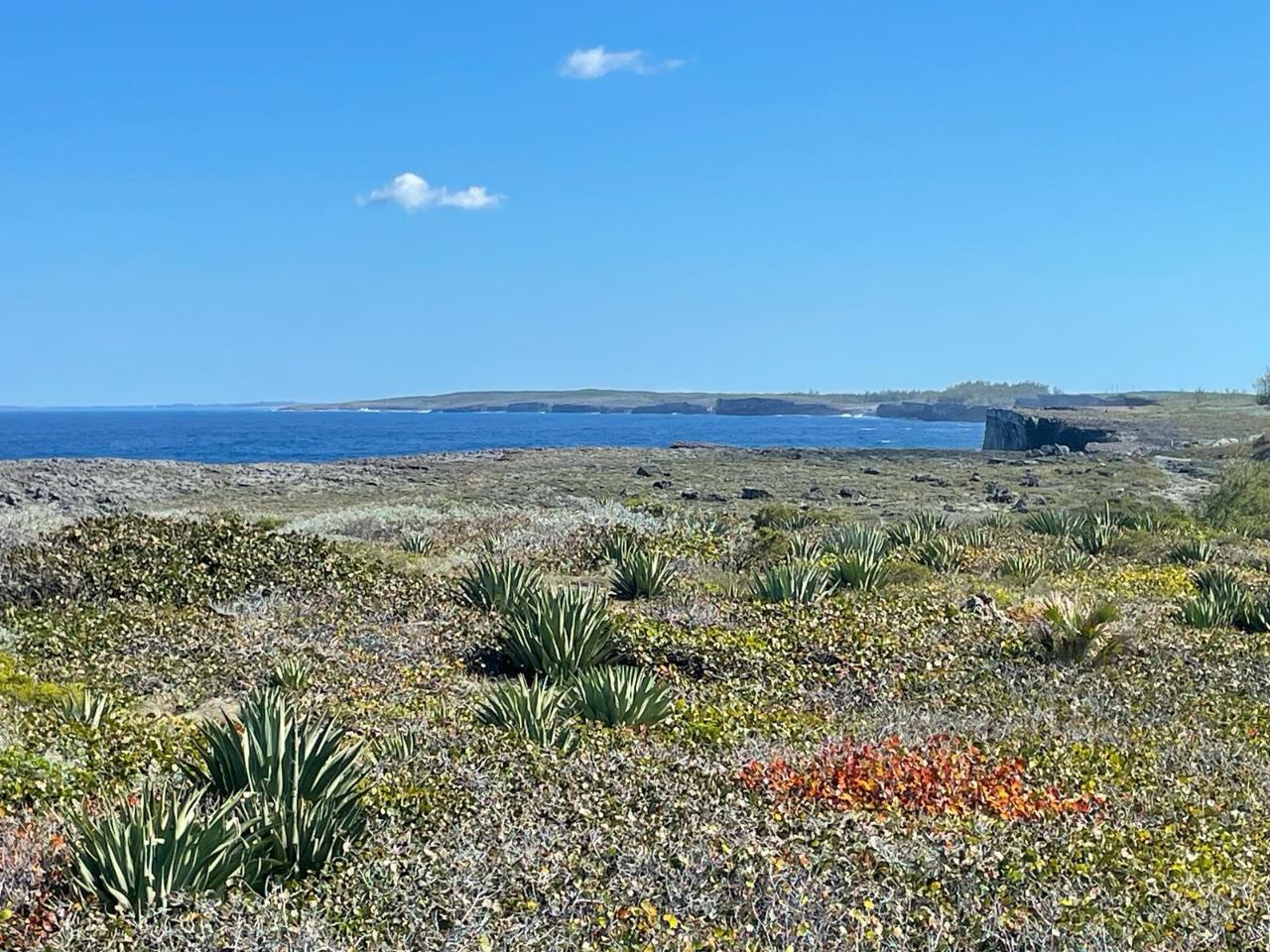 Lot 156 Whale Point - Xposure